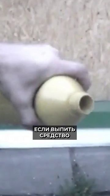 📍Опасных трендов в соцсетях становится всё больше #новости