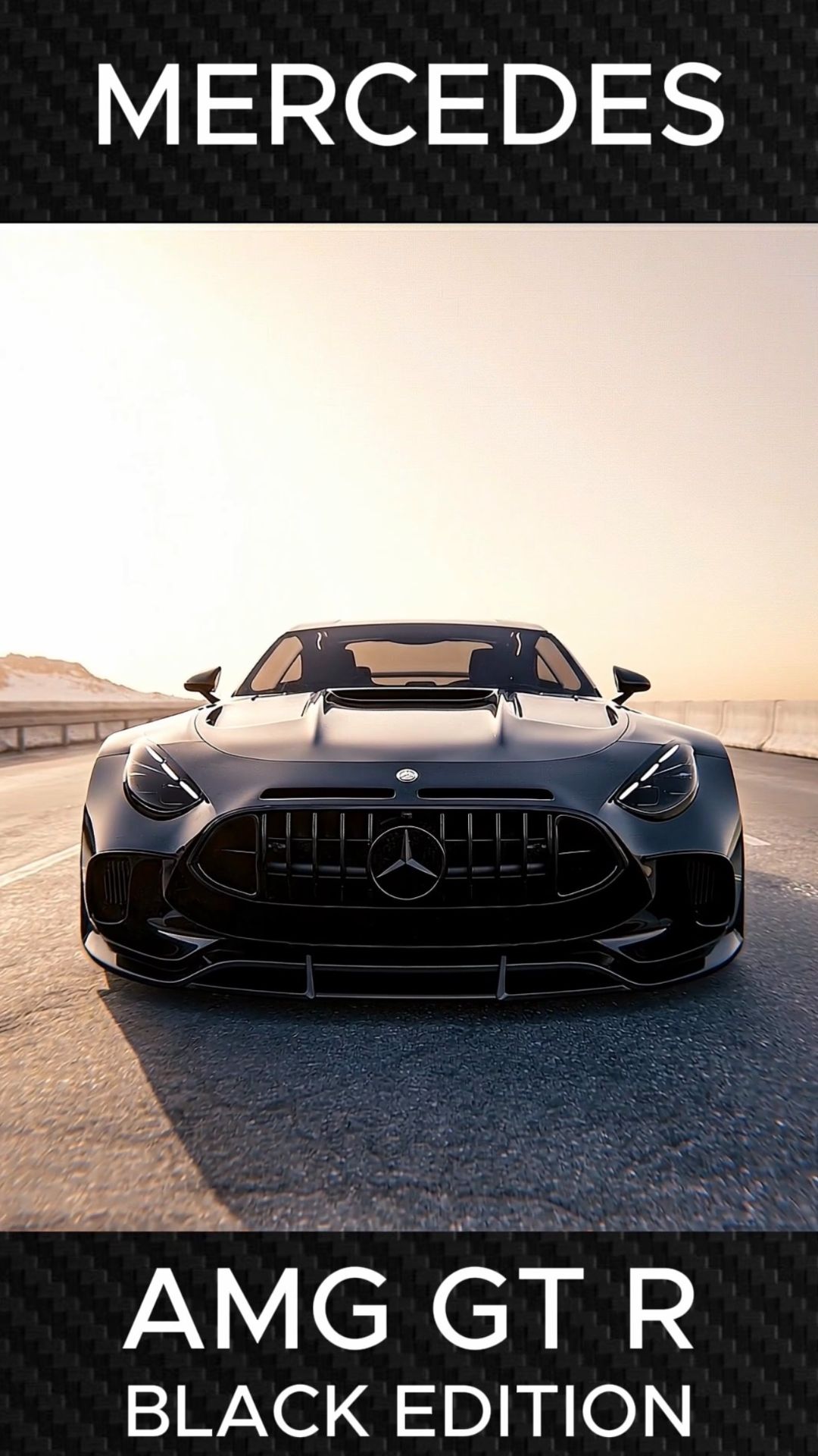 MERCEDES AMG GT R