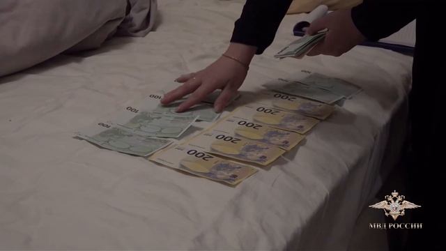 Ирина Волк: В Ленобласти полицейские задержали подозреваемых в серии хищений недвижимости у граждан