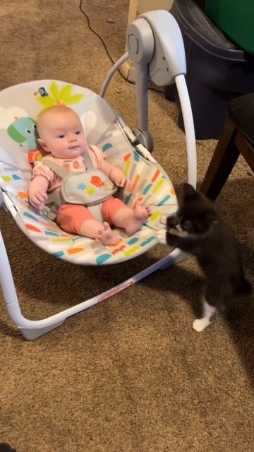 Усатый нянь