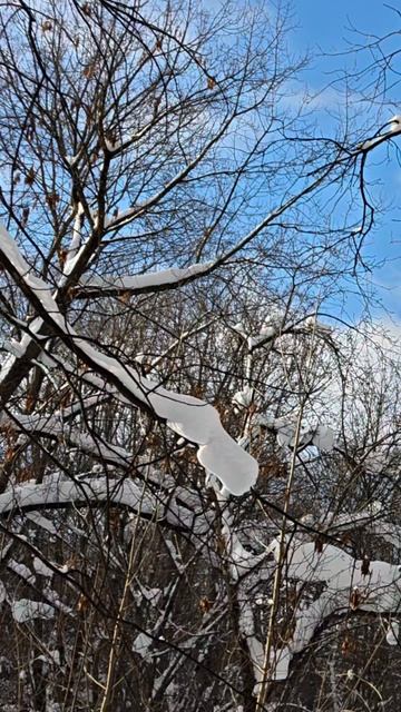 Я спросил у Бога...