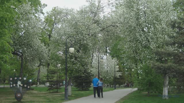Весна в городе. Цветение яблонь