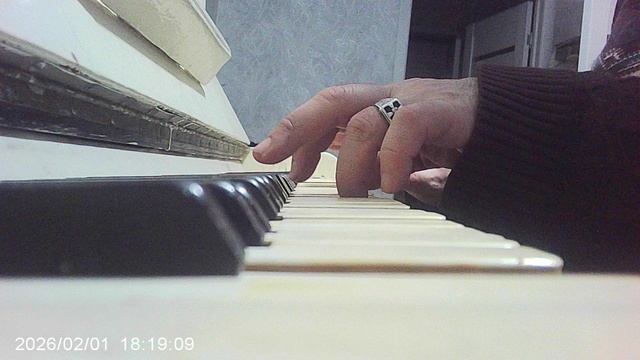 Пианино: "Посею лебеду на берегу" в обработке исполнителя