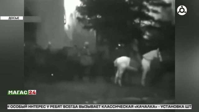 107 лет со дня Долаковской битвы