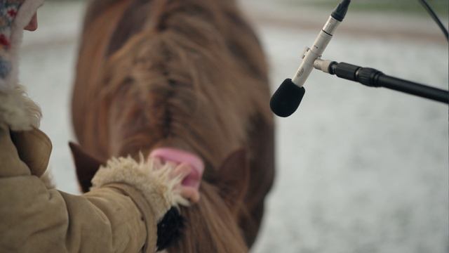 Микрофоны Октава 2026