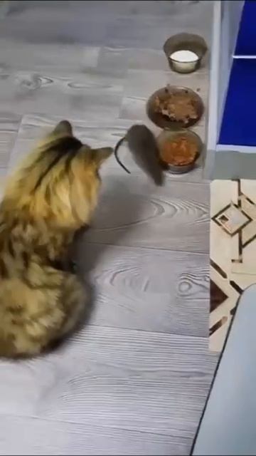 Маргарита кормит Джерри