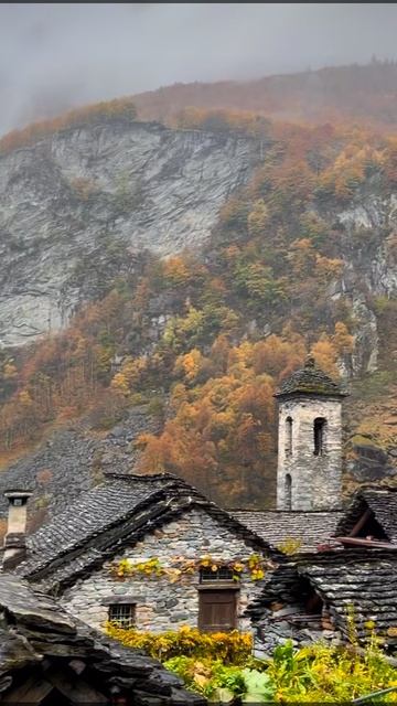 Вдохновляет 🍀