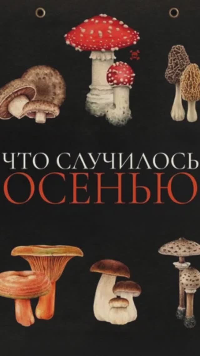 Что случилось осенью