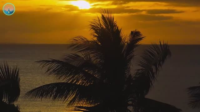 SHAZAM Top 50🏖️Лучшая Музыка 2025🏖️Зарубежные песни Хиты🏖️ #58