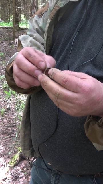 Нашли древнее кольцо в лесу #shorts #нашли #кольцо #влесу #metaldetecting