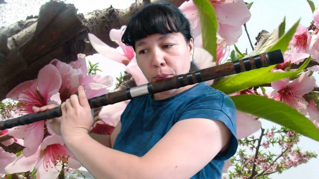 "Фонари отражают цветение персиков" #dizi #dizicover