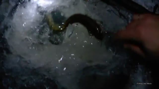 Налим на живца зимой. 1 сезон. 2 серия. (Налим и голавль на поставухи. Проверка поставушек)