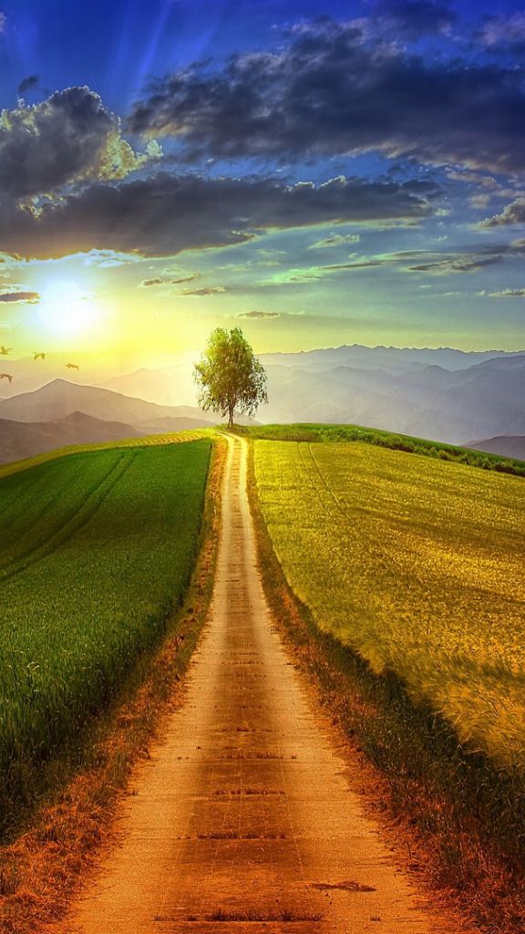 Совет Ангелов сфера здоровья... ✍️🌳💚👍