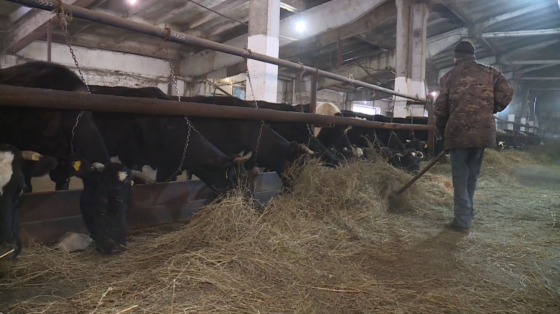 Сельхозпроизводители Нижневартовска получают поддержку от государства на развитие своего дела