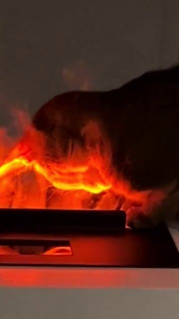 Получаем демонические указания