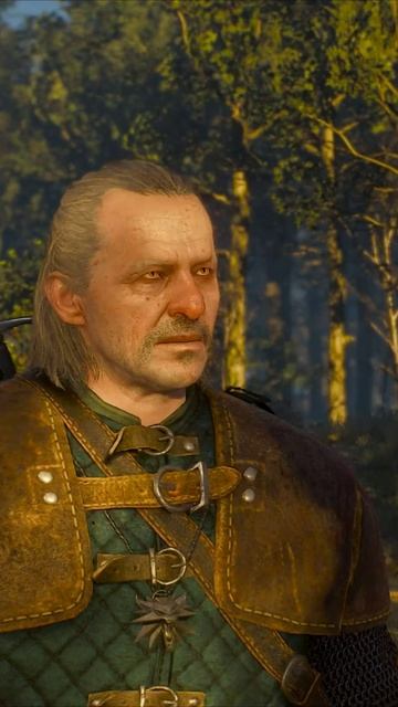Геральт и Весемир соображают  The Witcher 3 Wild Hunt