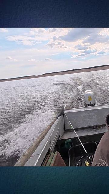 Старенькая хонда 40! Полёт нормальный.