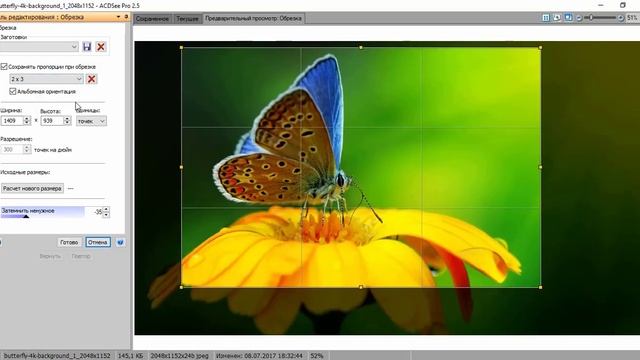 5 Как кадрировать в ACDSee