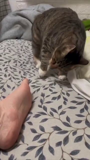 Великое искушение