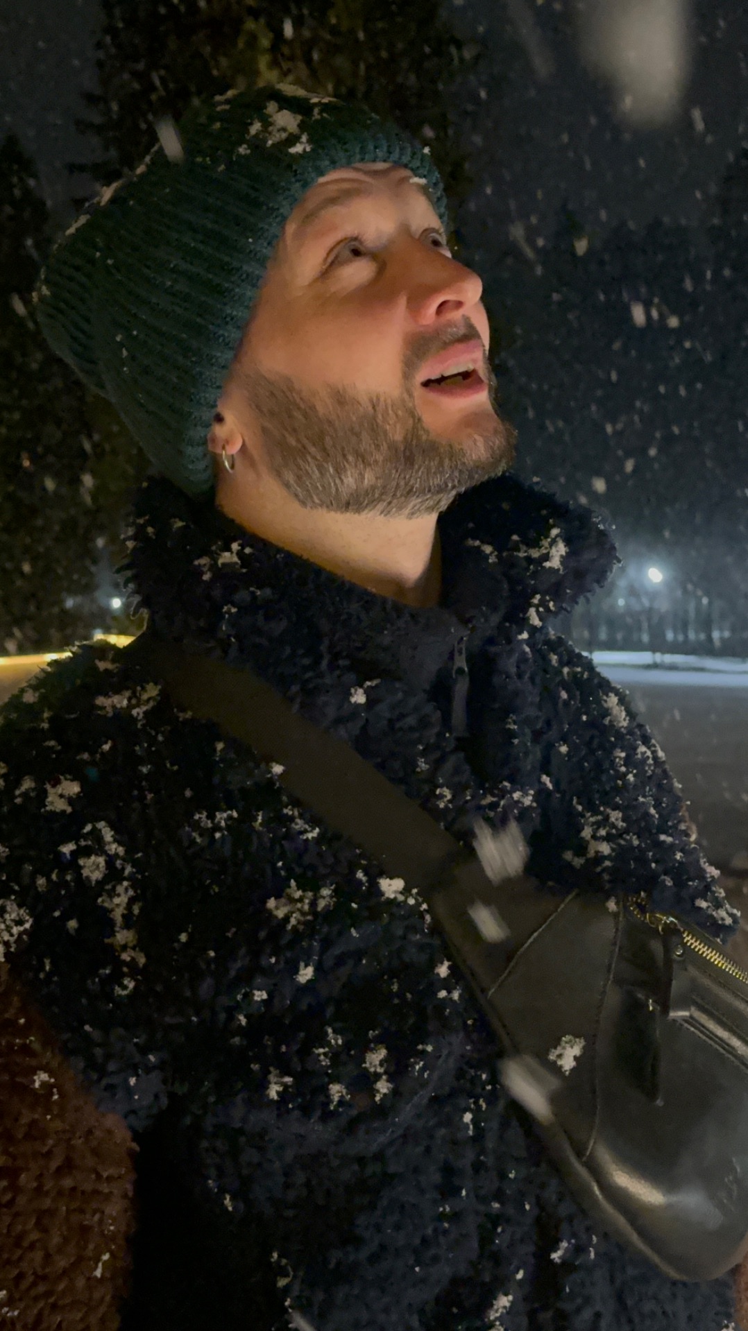 Снег, Зинаида Гиппиус