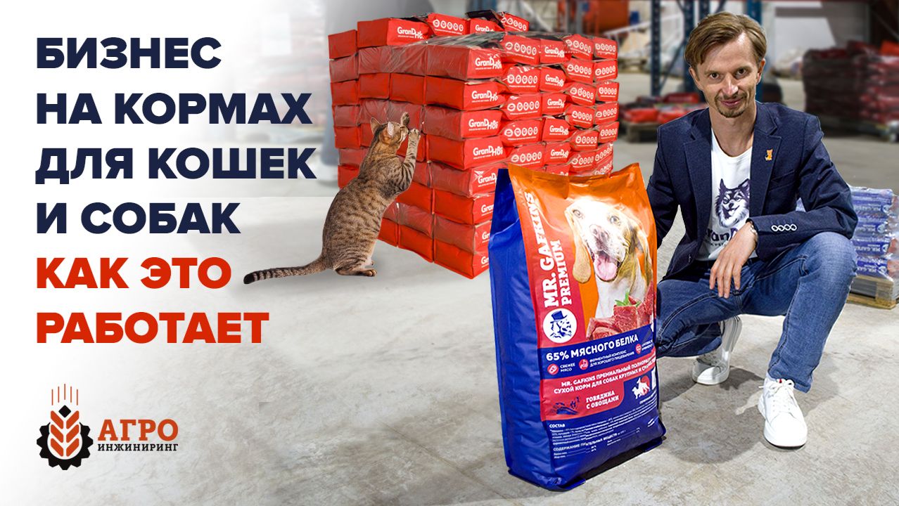 Свой бизнес на кормах для кошек и собак. От А до Я.