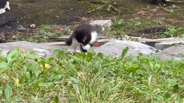 Летние сборы в Боровом 2024