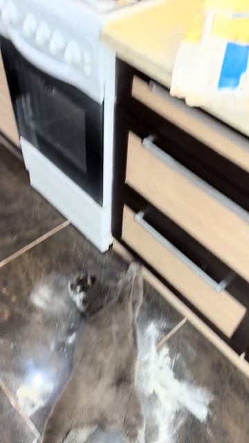 Поели сырничков