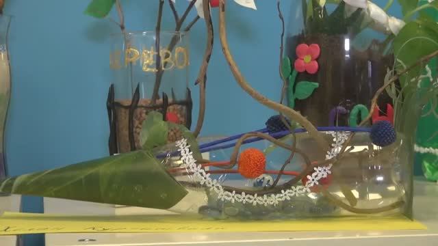 Неделя биологии и естествознания