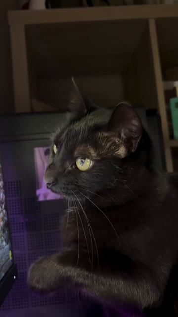 Граф Жрякула