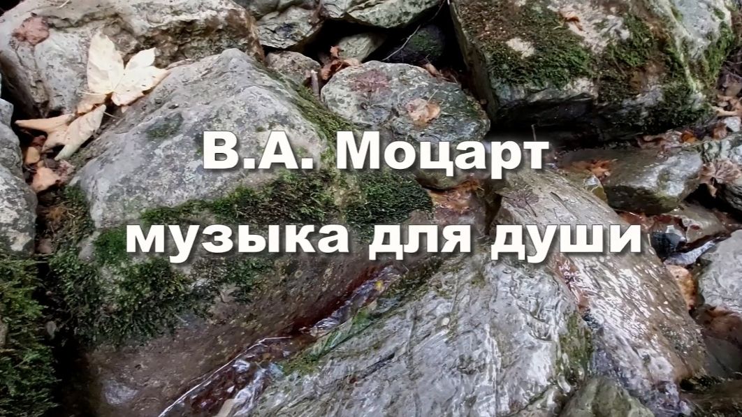 В.А. Моцарт. Концерт для фортепиано с оркестром номер 21 Музыка для души