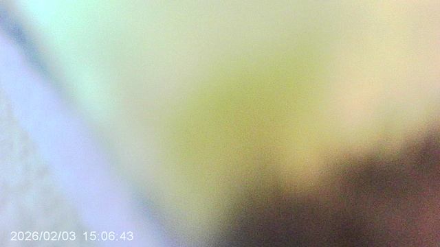 Комнатный ПНЕВМАТЛОН - мишень 7