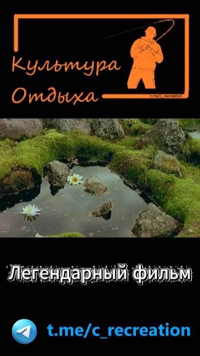 Если долго смотреть на луну...