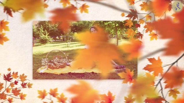 Благодарность от Ивана