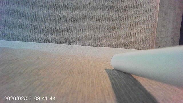 Комнатный пневматический АВИАТЛОН 3 февраля 2026