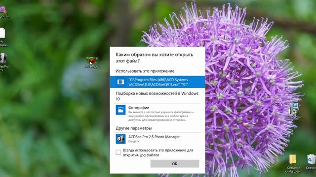 2. Как сделать чтоб все картинки открывались в ACDSee