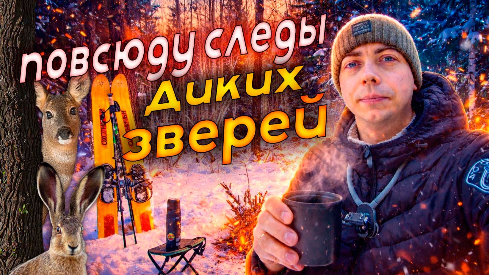 В ЛЕС НА ОХОТНИЧЬИХ ЛЫЖАХ