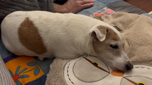 Диванный храпун 😂