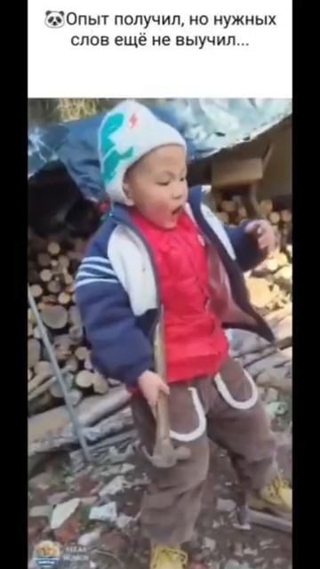 Когда не выучил нужных слов