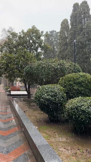 Снег в Крыму, Ялта сегодня - 3 февраля 2026г.