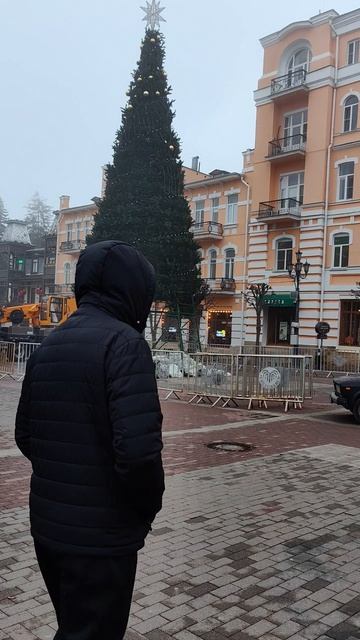 У вас ещё стоит новогодняя ёлка? 🎄