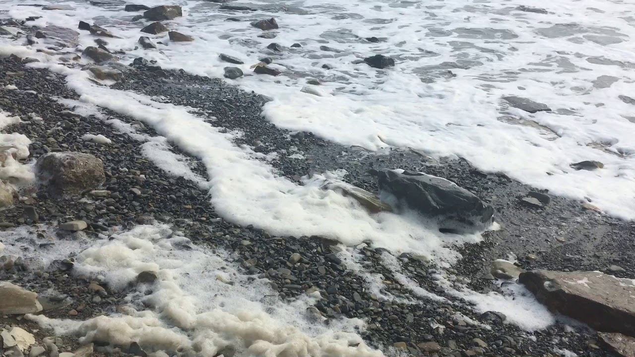 18 октября 2019 г.