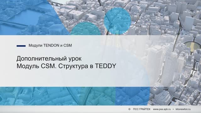 6.10._Дополнительный_урок_-_Модуль_CSM._Структура_в_TEDDY
