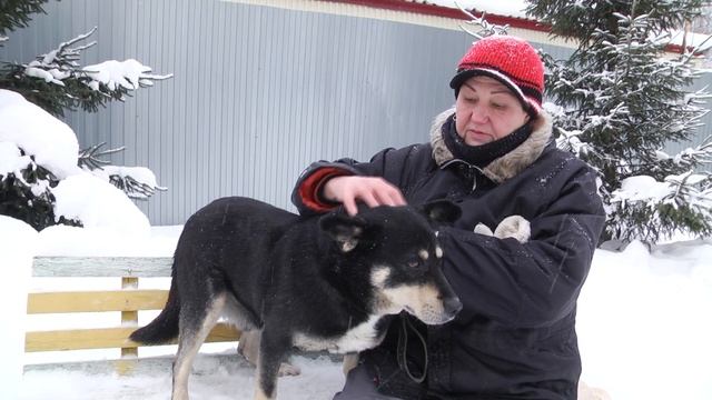 Ищу тебя, хозяин