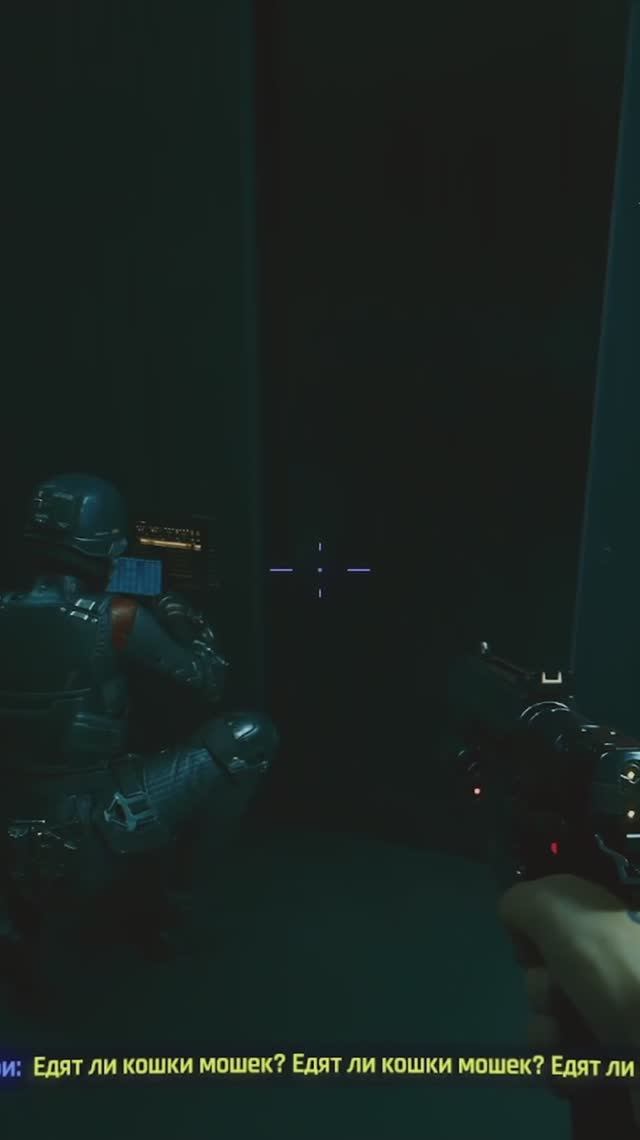 Едят ли кошки мошек ? - Cyberpunk 2077