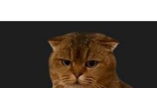 Битва с мясником с помощью Кусаригамы...