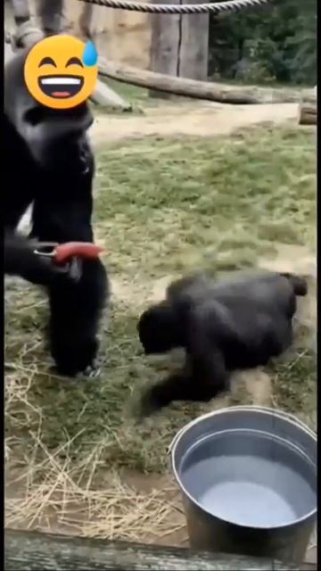 Как люди 🤓