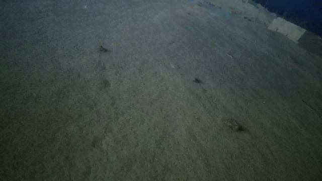 Bleach Rebirth of Souls - Nelliel(odin-is-mnogih) vs Ichigo Bankai(TCP/IP)