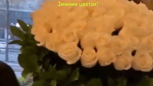 Зимний цветок!