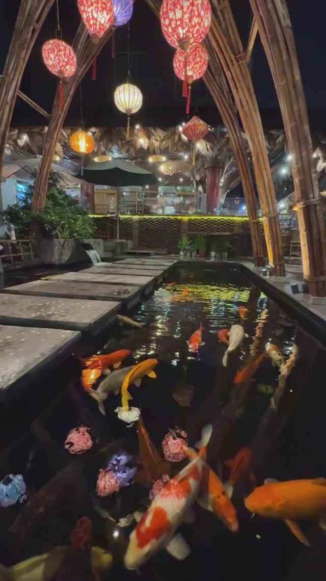 Рыбный релакс Нячанга #vietnam