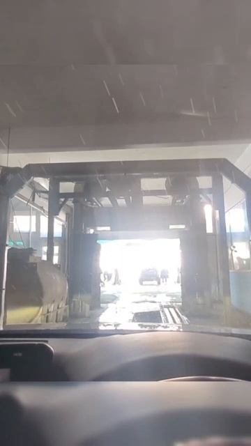 Ужас! Реальные кадры атаки осьминога на автомобиль